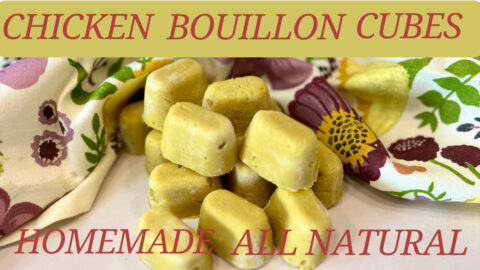 Homemade Chicken Bouillon Cubes - Gari's Galley